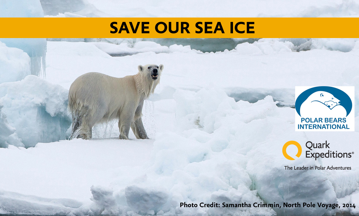 Heaven Publicity Quark Expeditions® Bundles Up for Polar Bear Day Feb ...